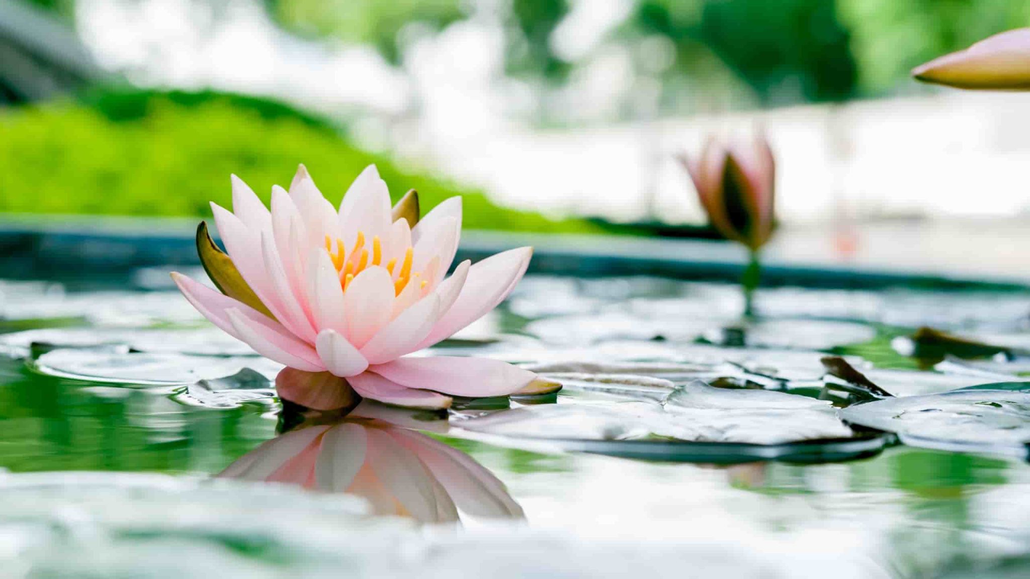 Ma vision du Tantra : au delà d'une approche sexuelle.